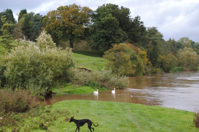 Bank Farm Holiday Park, Bewdley. Family, Great Facilities – Quiet