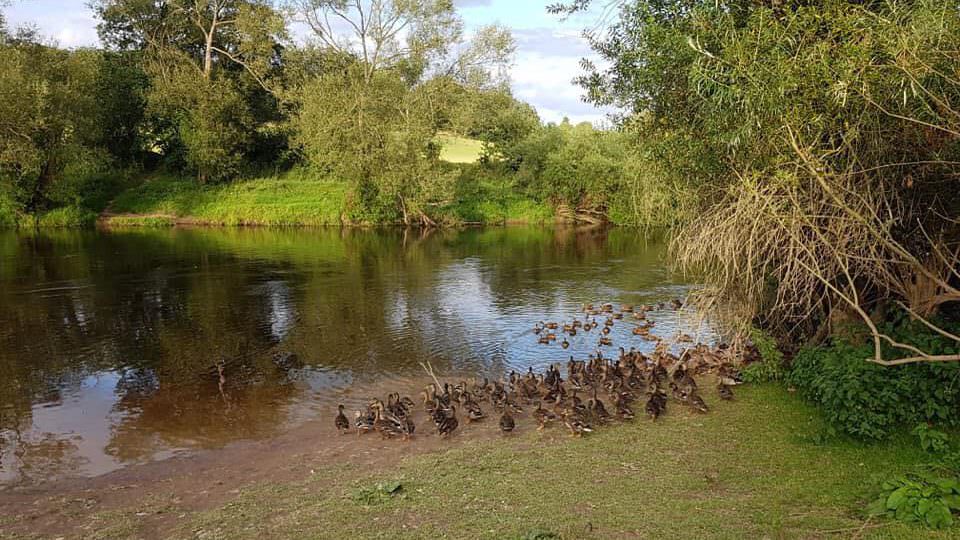 Bank Farm Holiday Park – Family Park – Great Facilities – Quiet